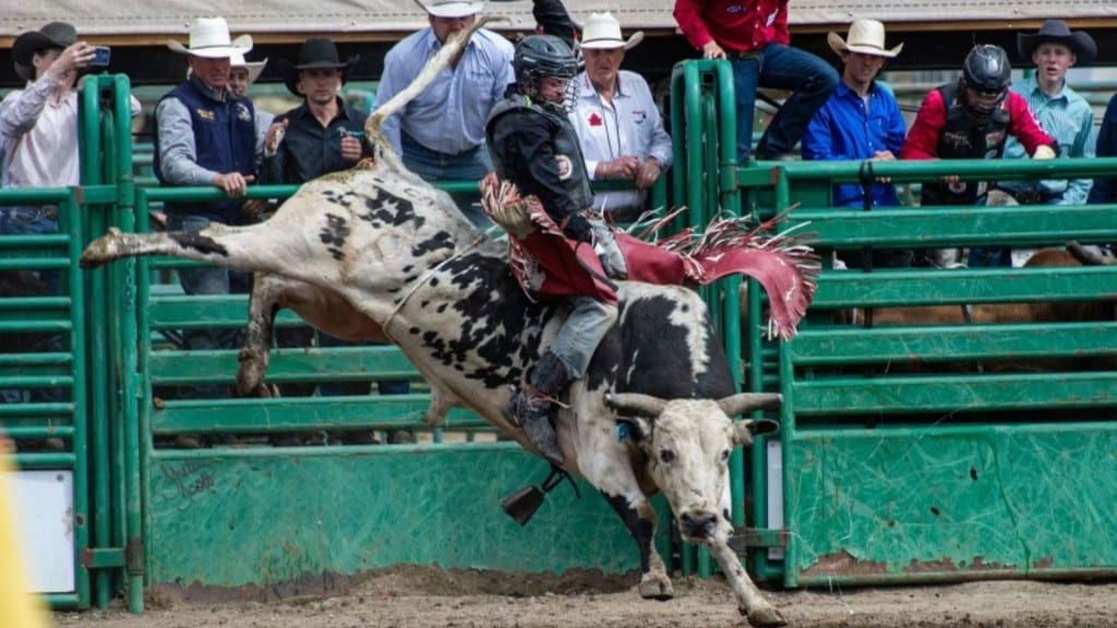 Local cowboy places first at Taber Spring Classic