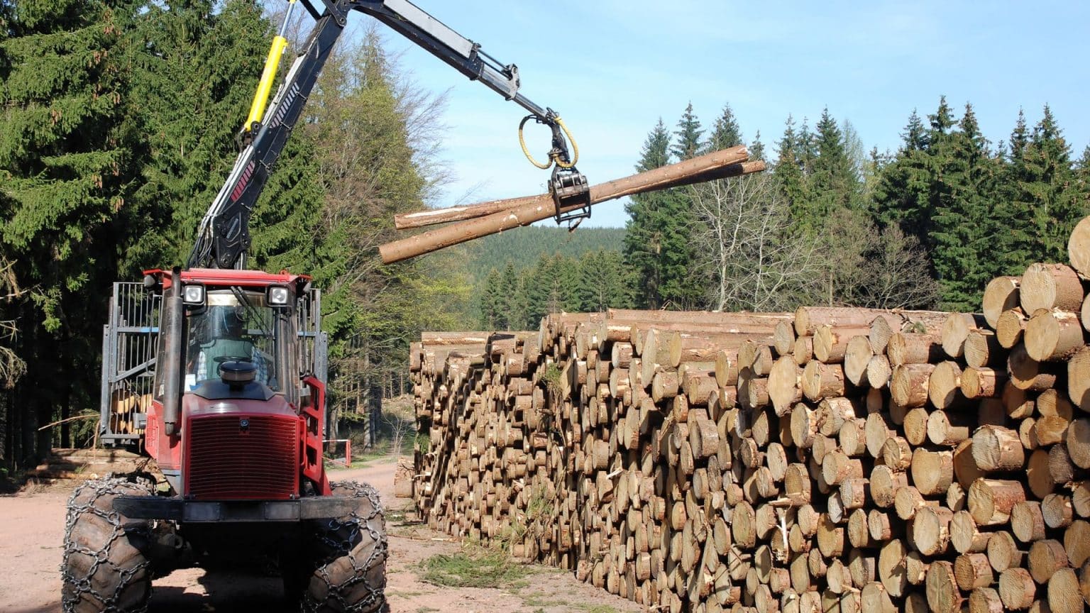Despite forestry concessions being made, some feel it isn’t enough