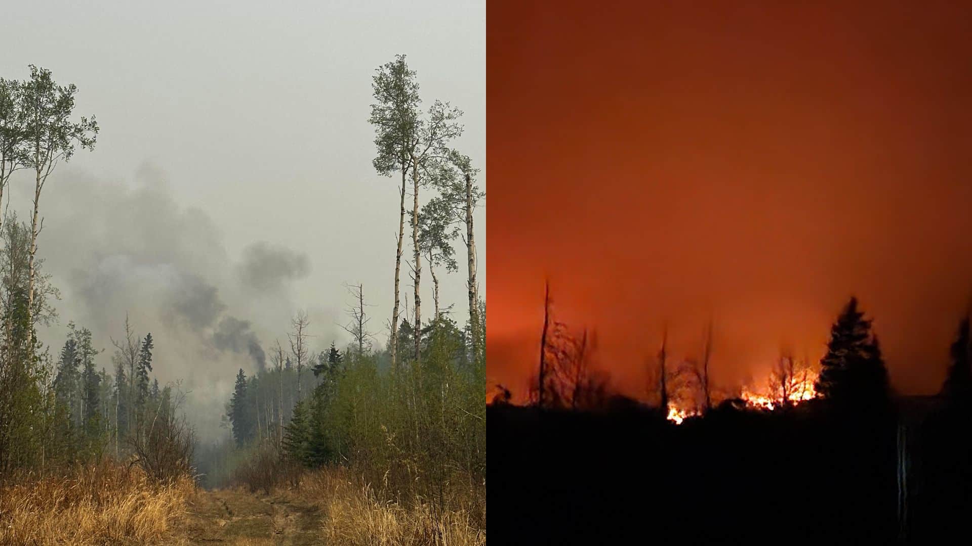 UPDATE: Evacuation Order issued for Red Creek residents, fire now at ...