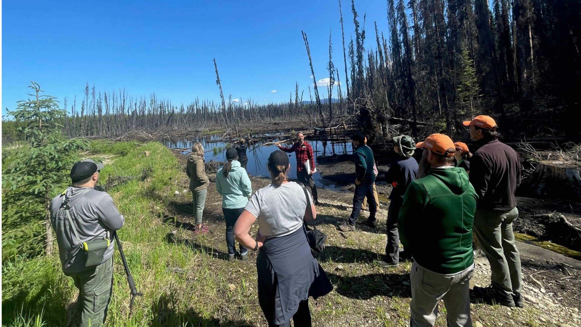 Fish & Wildlife Compensation Program seeking Peace region board member