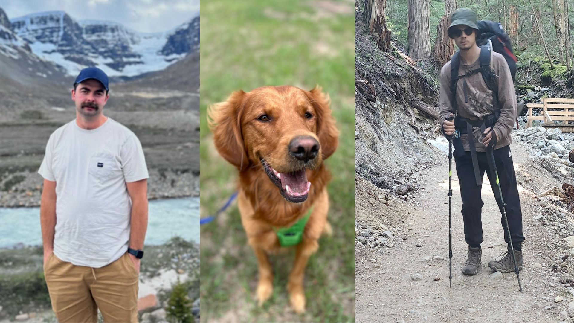 Search continues for missing hunters near Ground Birch Road, Redfern ...