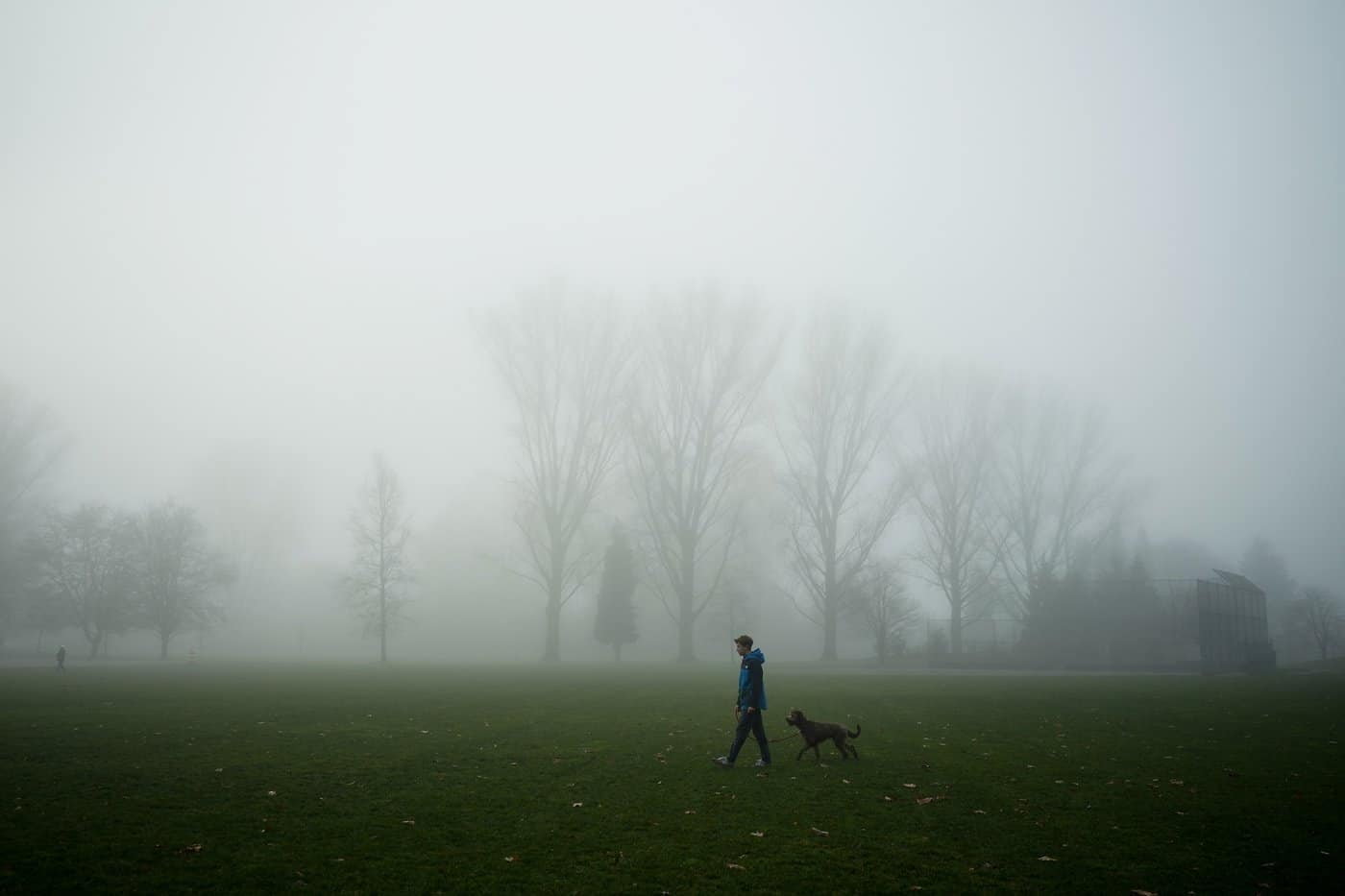 Dense fog from high-pressure system creates near-zero visibility in ...