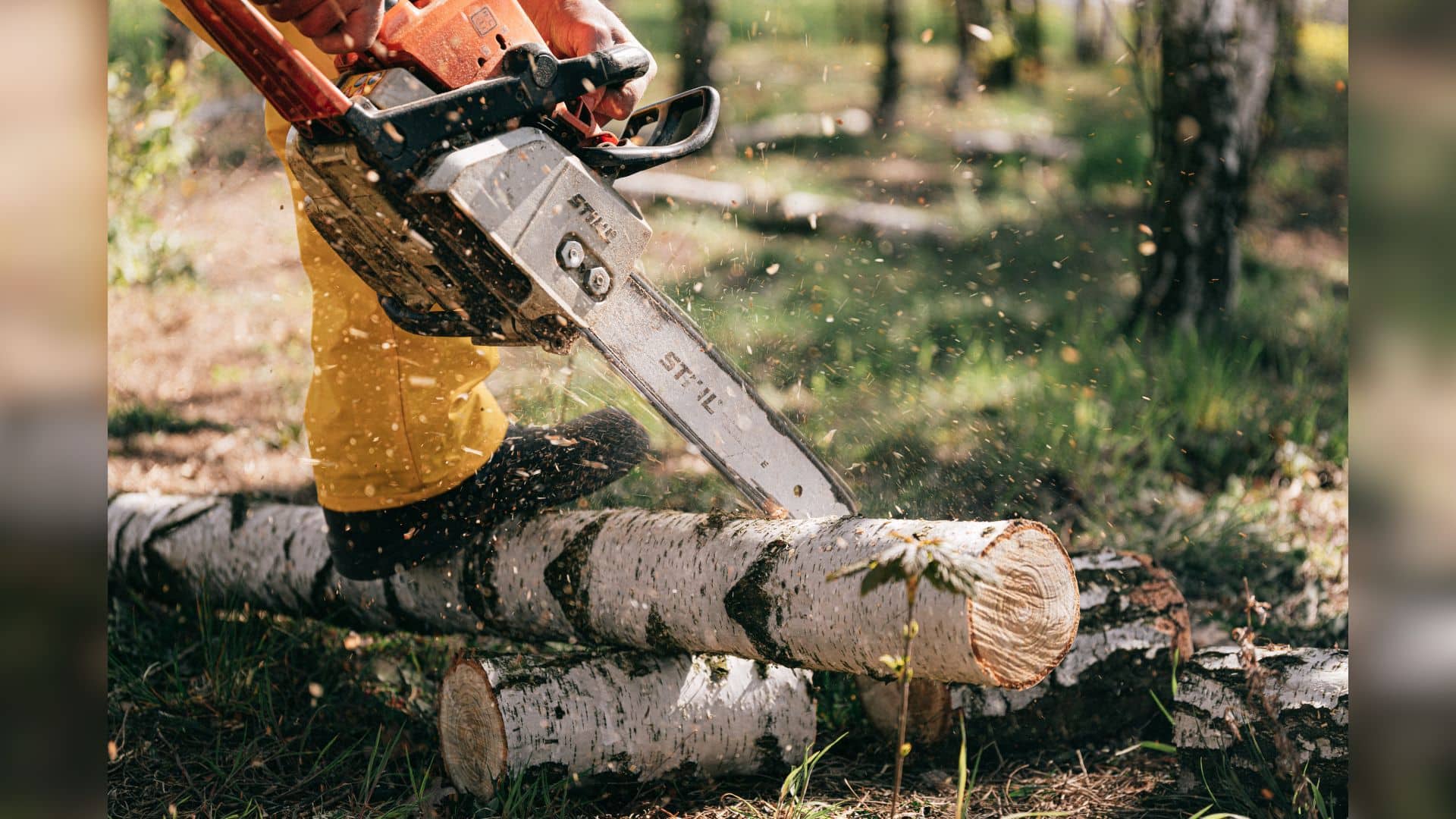 Recreation body funds TRORA for first aid and chainsaw training