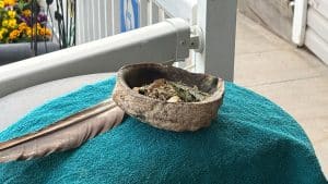 Indigenous healing 'smudging' ceremonies explained