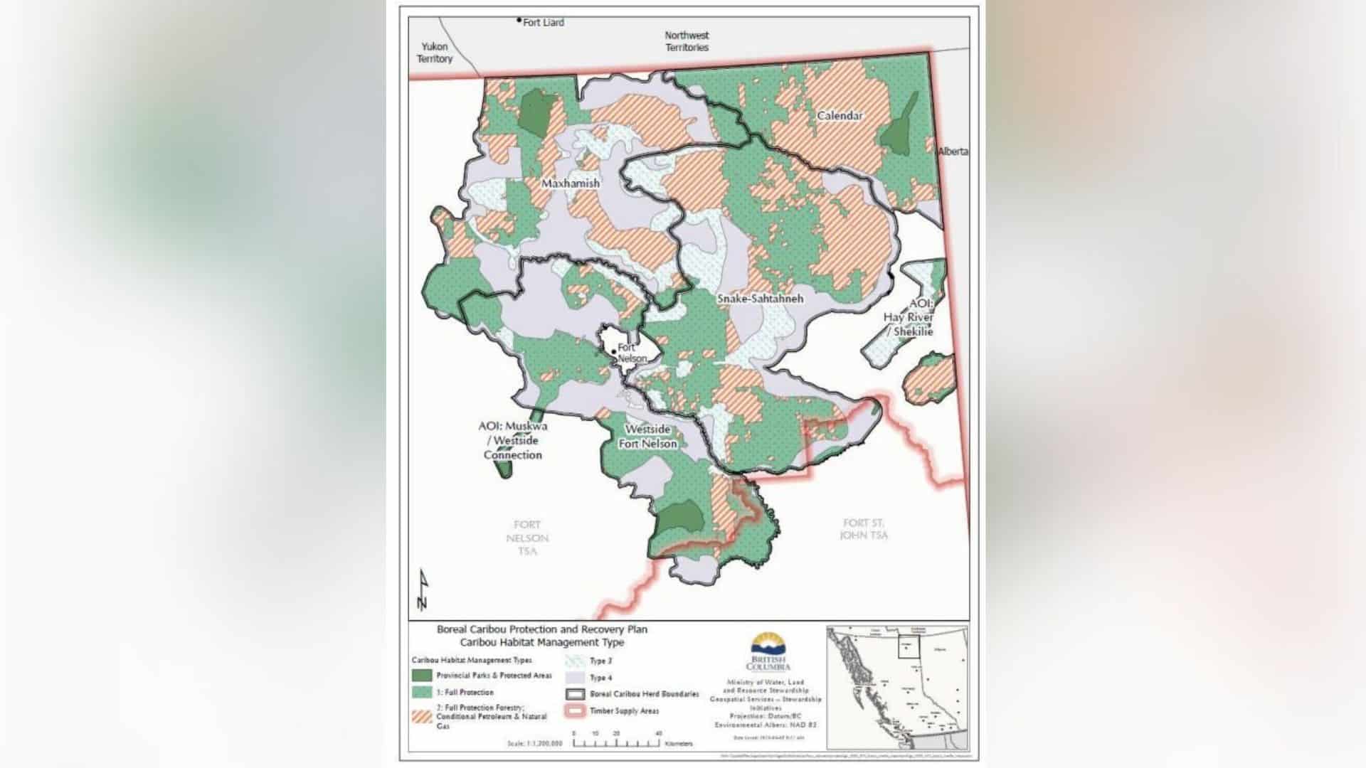 BCER to restrict energy permits in northeast to protect caribou