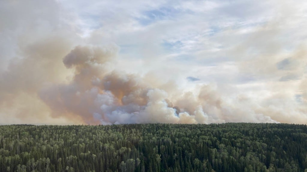 BCWS brings 12 wildfires in northeast B.C. 'under control'