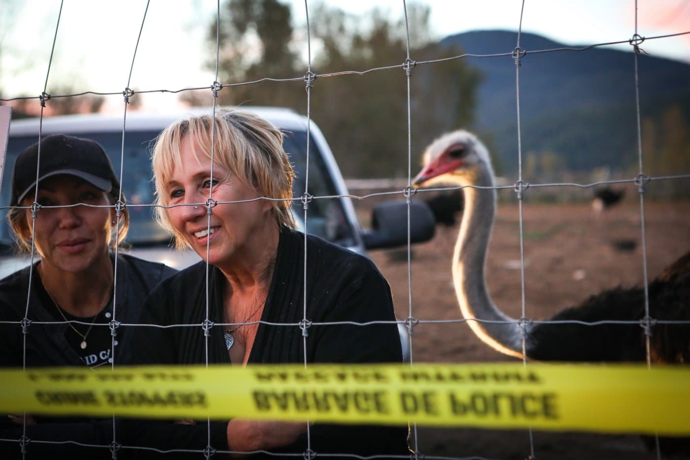 CFIA prepares for cull on B.C. ostrich farm after outbreak of avian ...