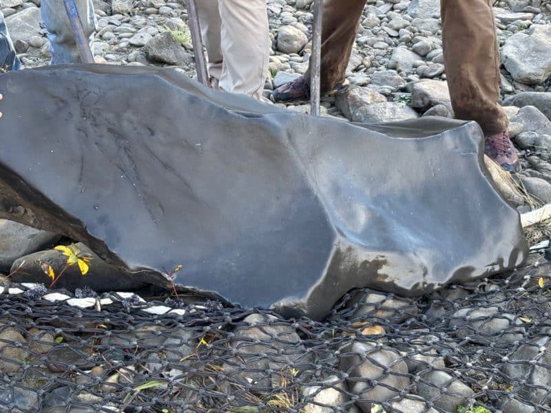 Taylor Wind Project set to become operational in 2028