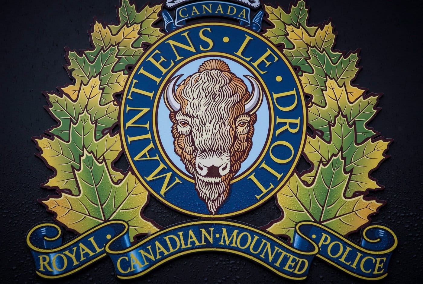 Alaska Highway 97 closed after collision and fatality
