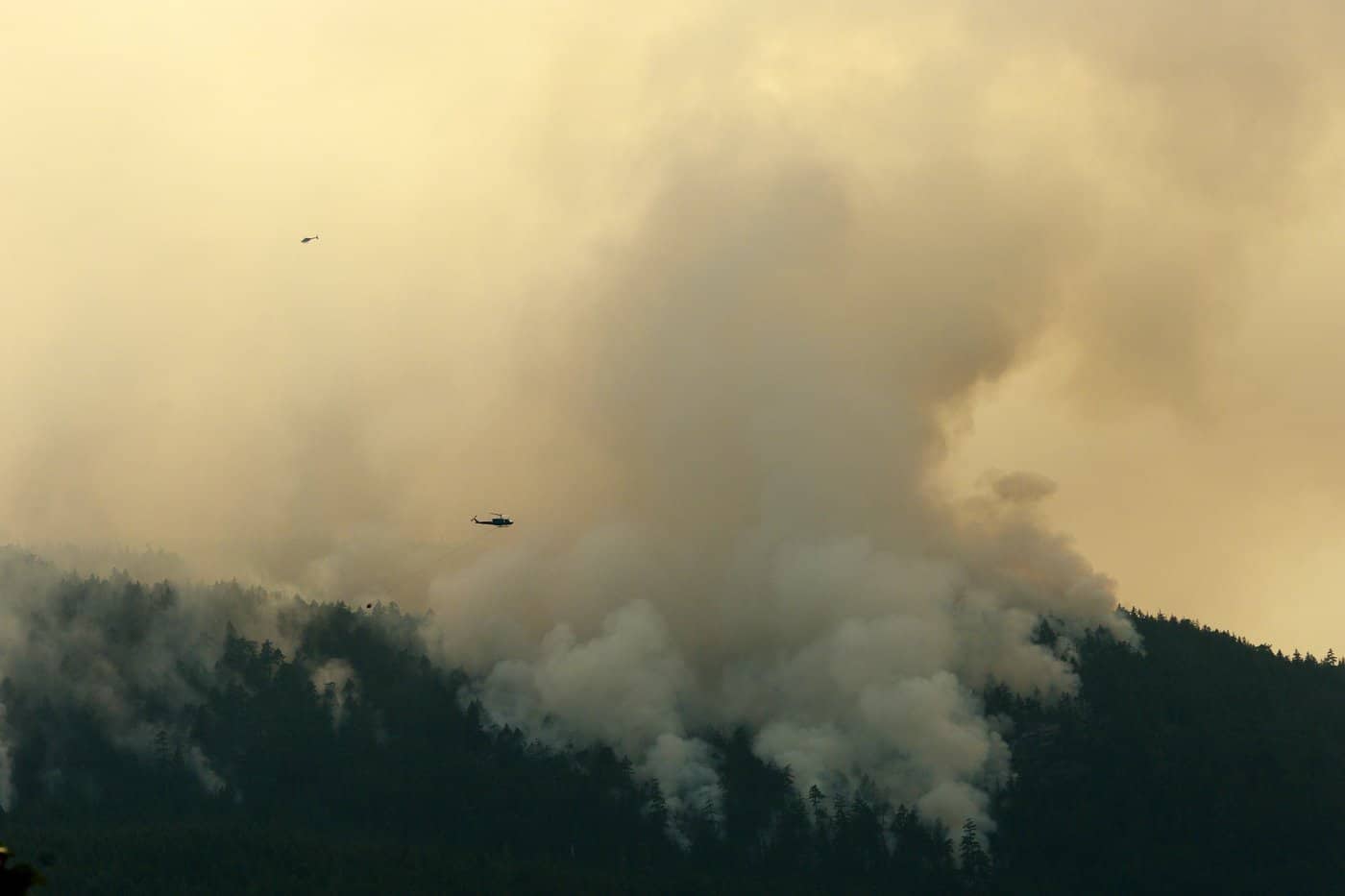 Fort St. John Deputy Fire Chief shares wildfire safety tips