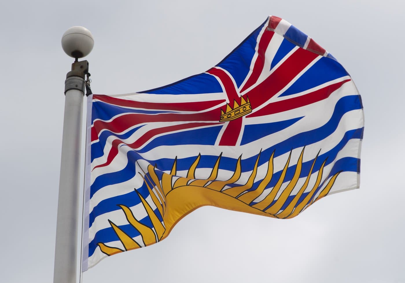 Metro Vancouver fined $170,000 after worker hurt in 'high-risk' water ...