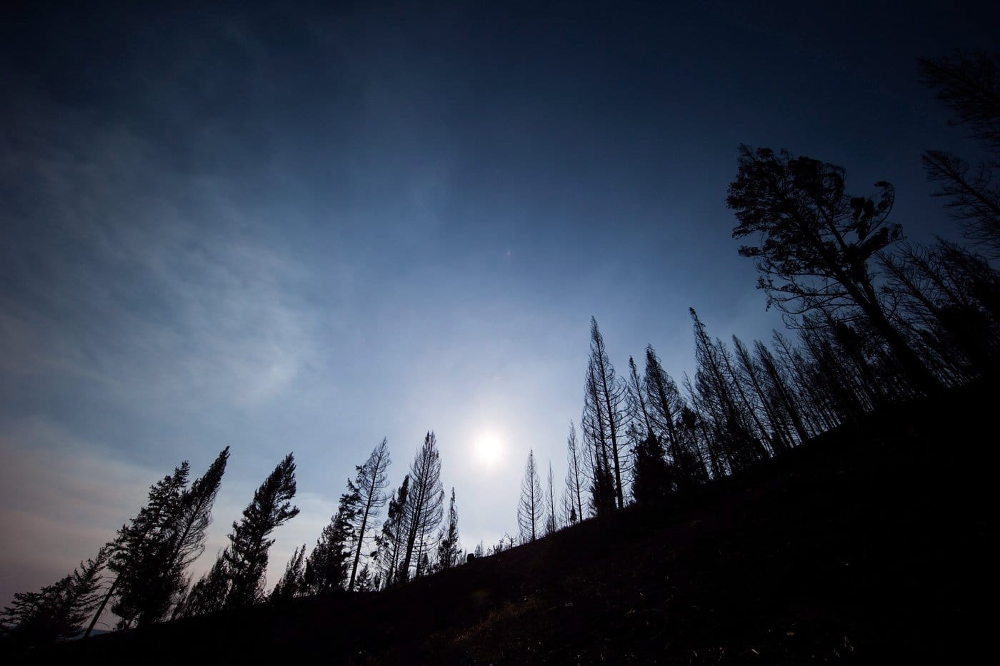 Wildfire in B.C. central Interior prompts evacuation alert